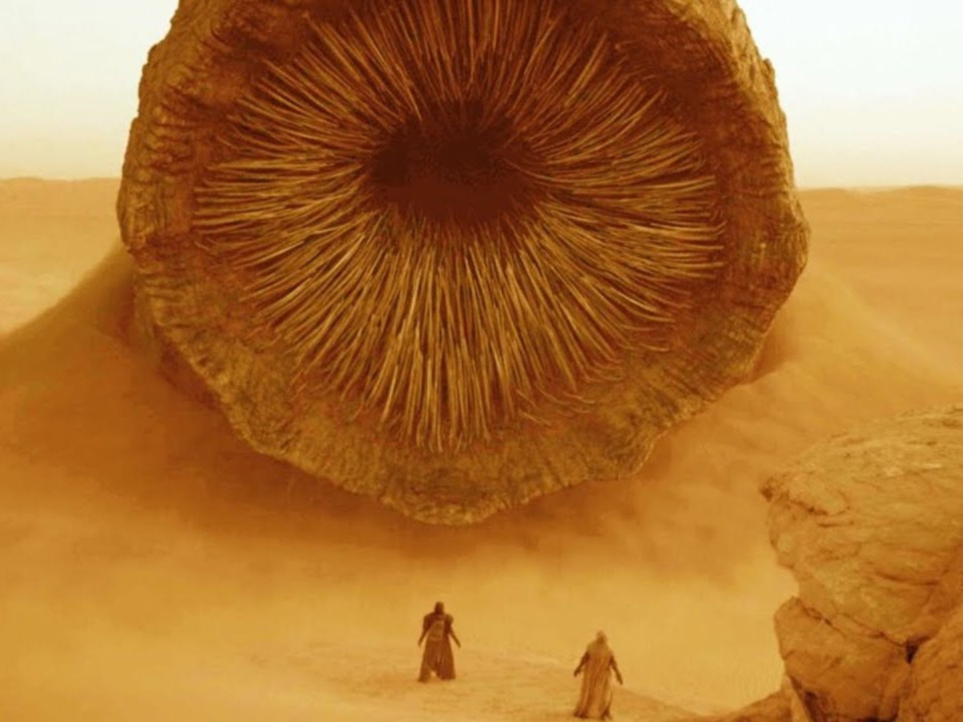 Dios Emperador De Duna DIOS EMPERADOR DE DUNE (LAS CRÓNICAS DE DUNE