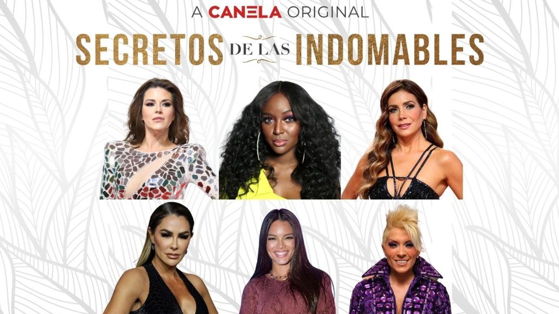 Canela.TV presenta al elenco del reality 'Secretos de las Indomables ...