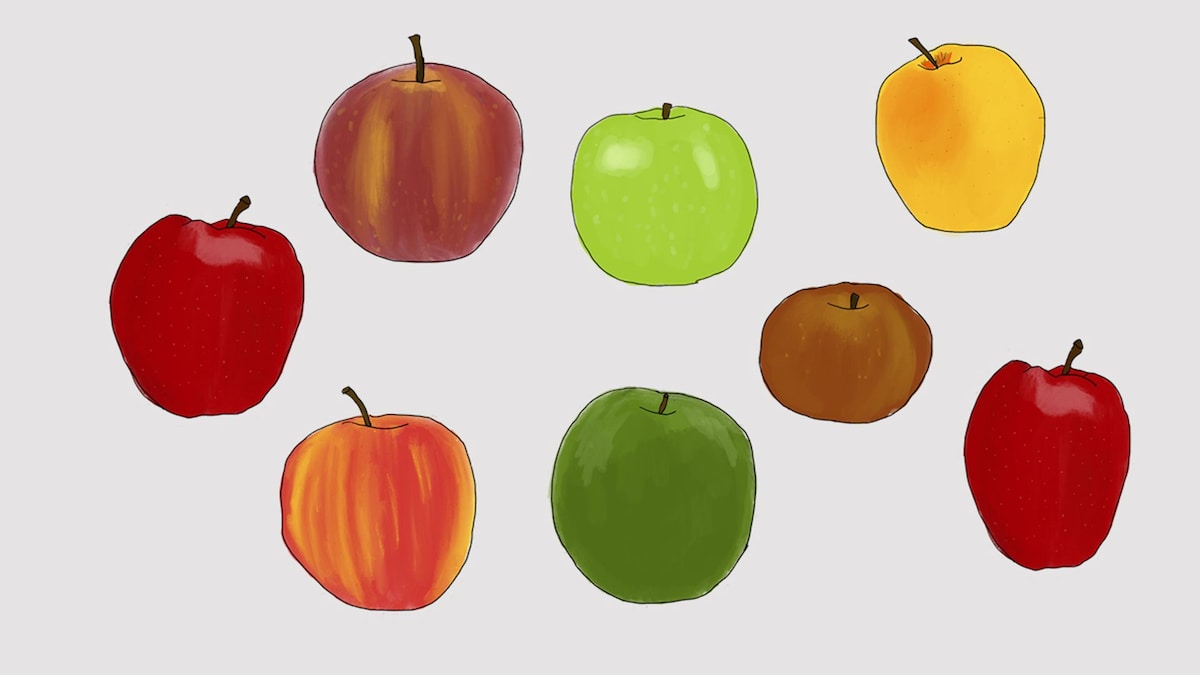 Tipos de manzanas y recetas superfáciles y deliciosas con ellas