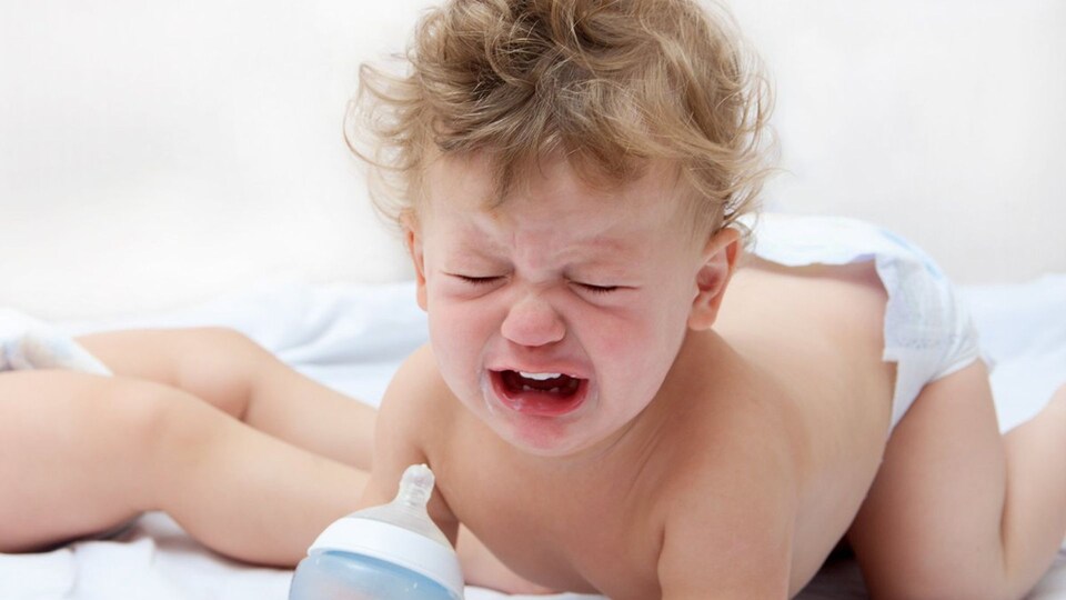 Qué tipos de destete existen y cómo hacerlo