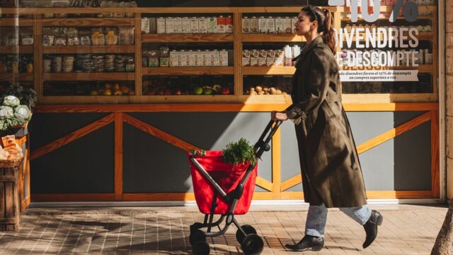 Los 5 mejores carros plegables para ir a la compra