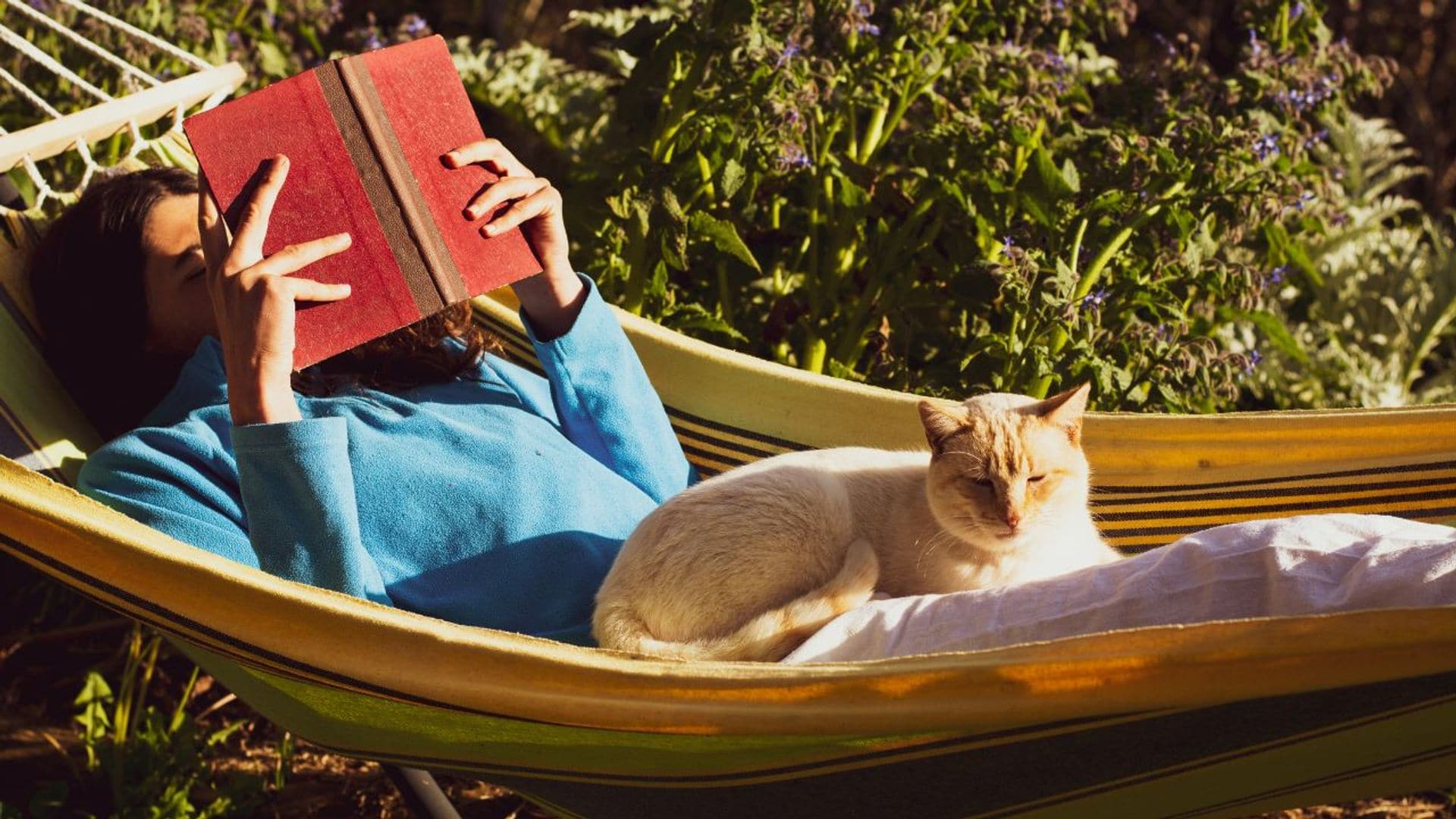 Los 52 mejores libros recomendados para leer este 2024