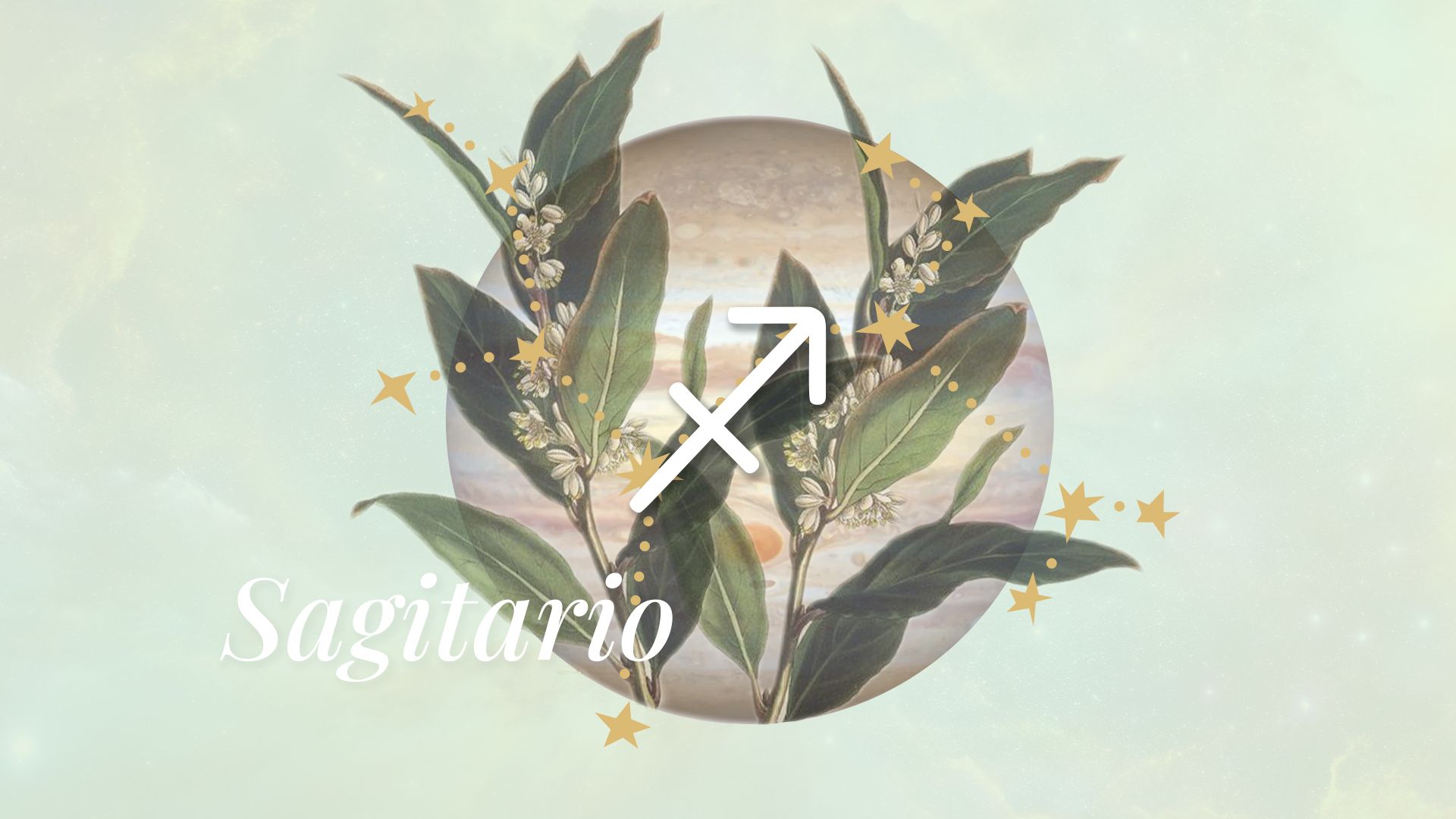 Sagitario hoy: predicción y características del signo Sagitario hoy: predicción y características del signo