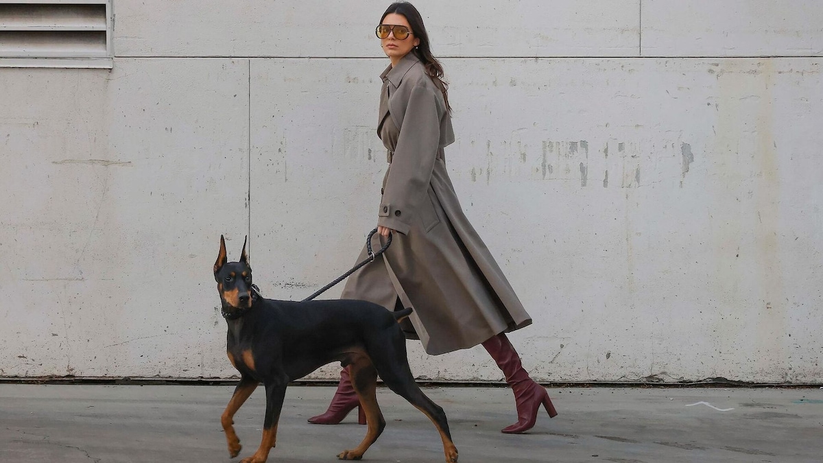 Kendall Jenner: descubrimos a su 'fiera'