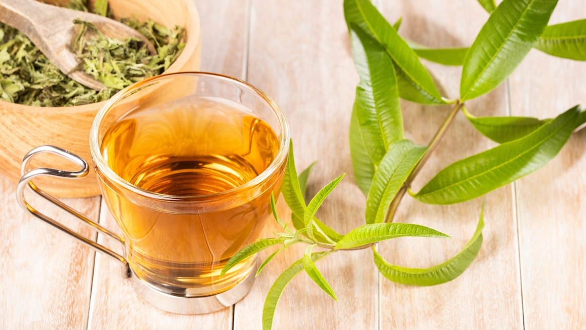 Verbena: una planta medicinal con muchas propiedades