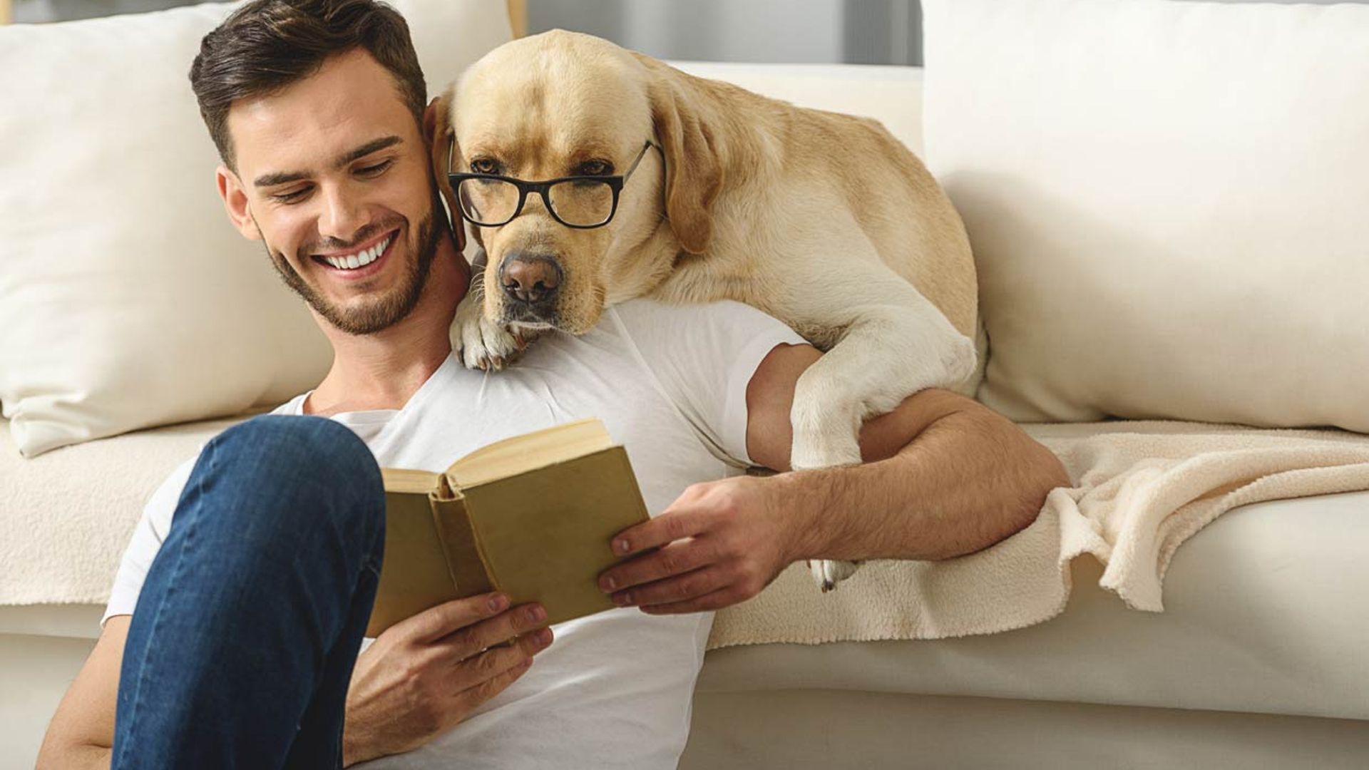 Las razas de perro más inteligentes