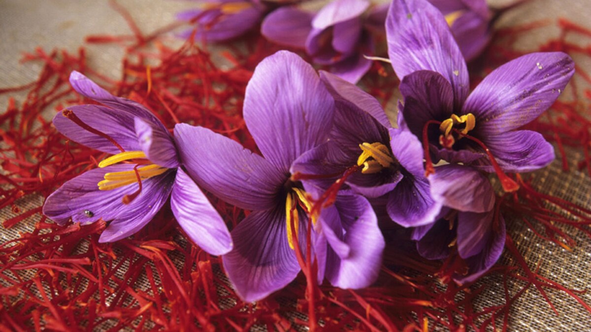 Propiedades y recetas con azafrán