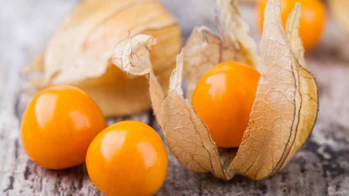 Qué es el physalis, sus propiedades y algunas recetas