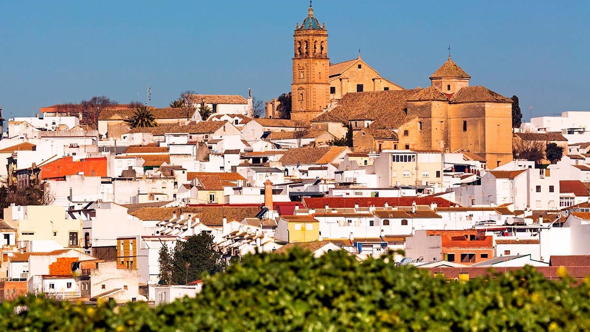 Montilla, una ciudad para rendir culto al vino andaluz