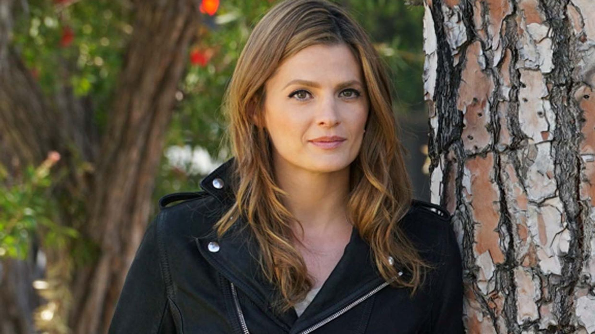 Stana Katic Embarazada Stana Katic Baby: A Glimpse Into The Life Of