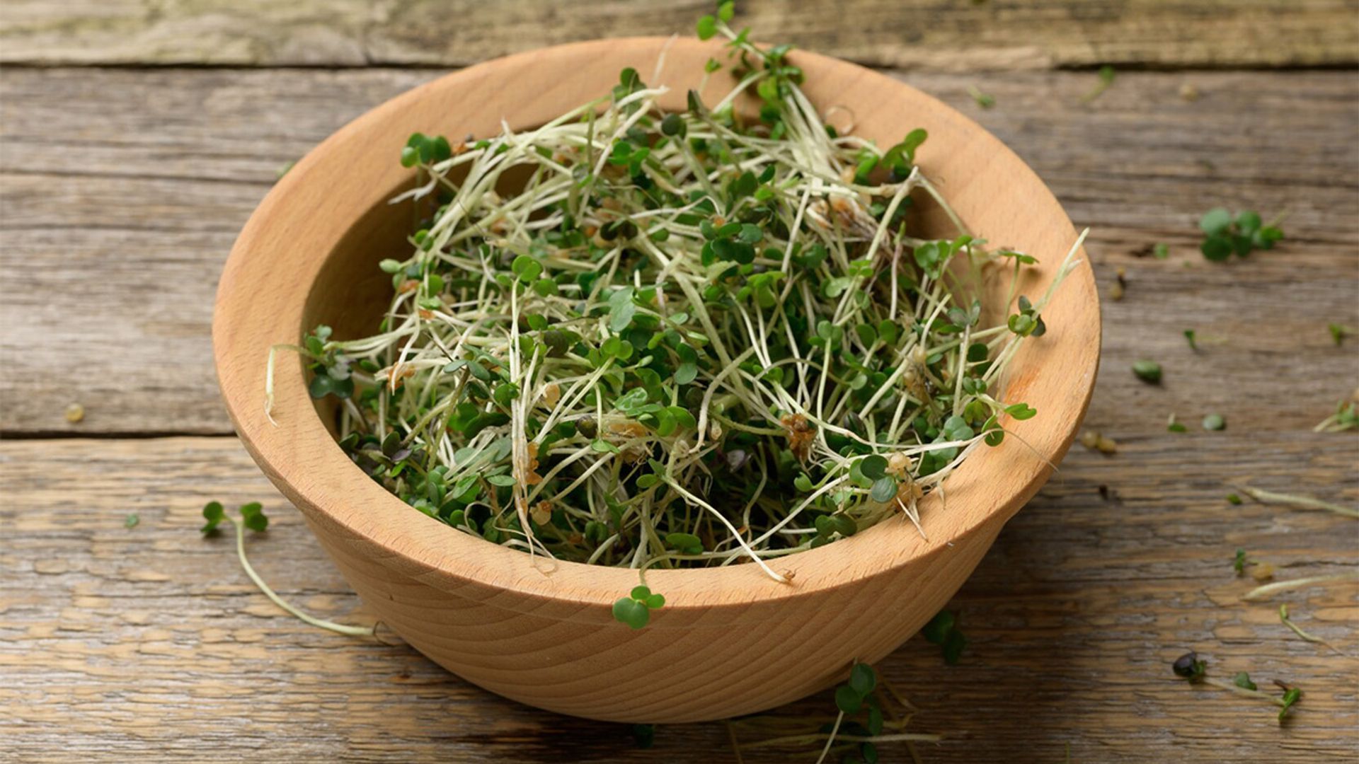 ¿Sabes qué son los germinados y cómo se utilizan en la cocina?