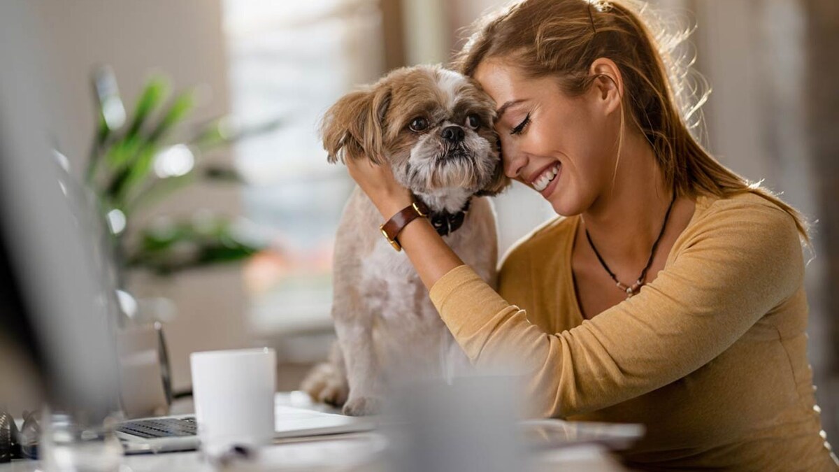 ¿Cuál es sería tu mascota ideal según tu personalidad?