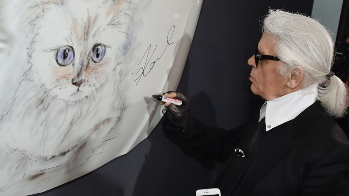 Choupette, la gata de Karl Lagerfeld, invitada especial de la Gala MET