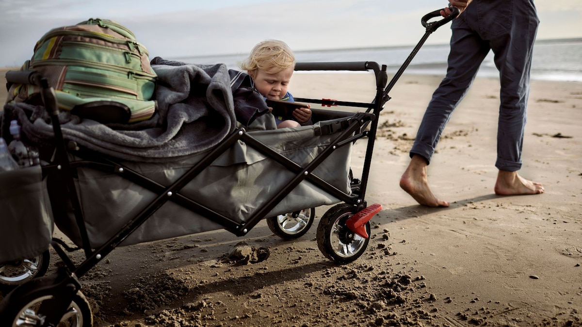 Cindy lopes and luna when upon entering her living space,