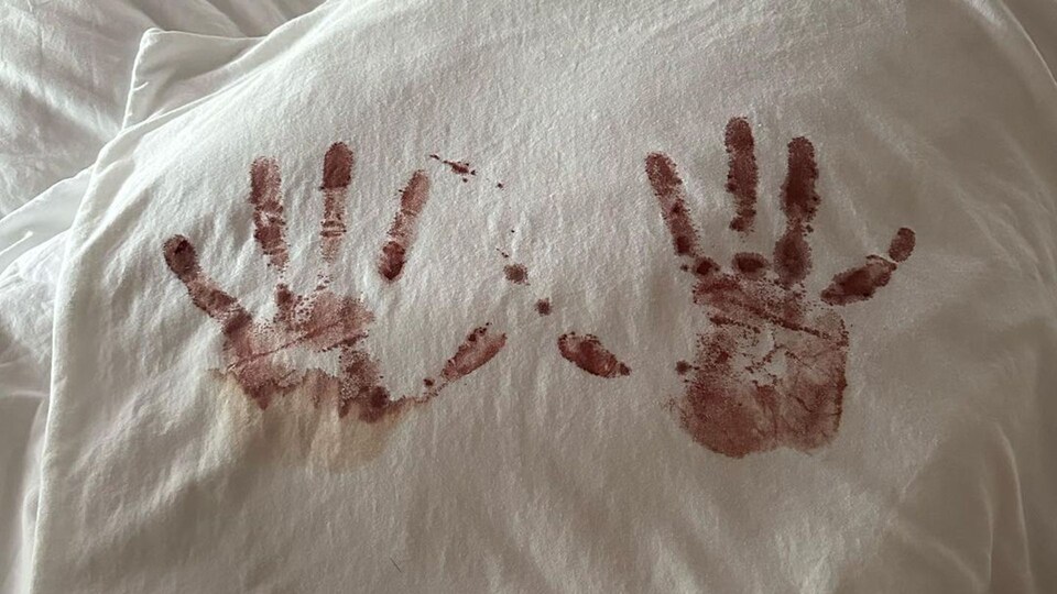 Evaluna y Camilo anuncian el nacimiento de Amaranto, ¿es niño o niña? | ¡HOLA!