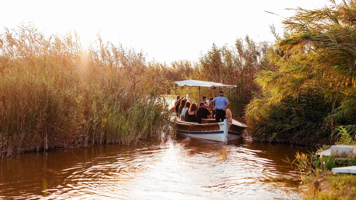 Navegar entre arrozales y comer la auténtica paella valenciana, un plan redondo
