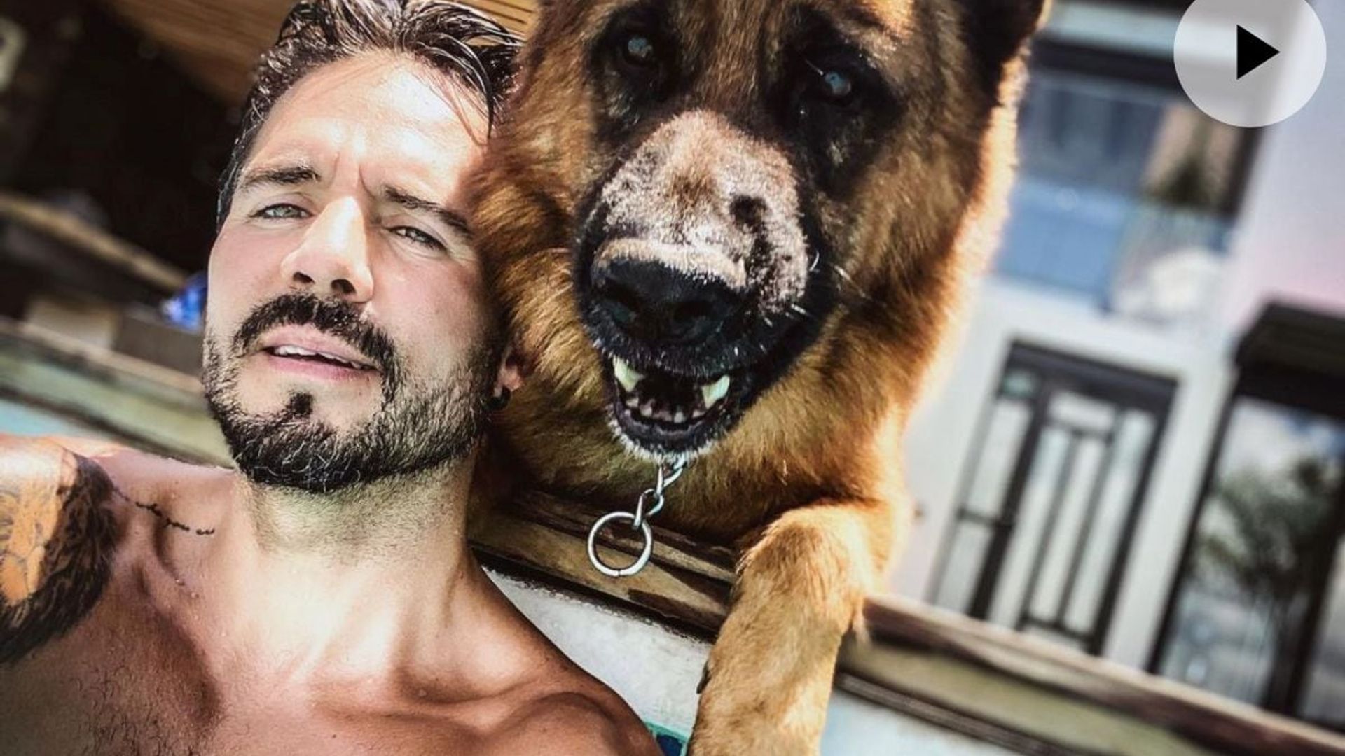 José Ron se tatúa el rostro de su perrito Skiro como homenaje | ¡HOLA!