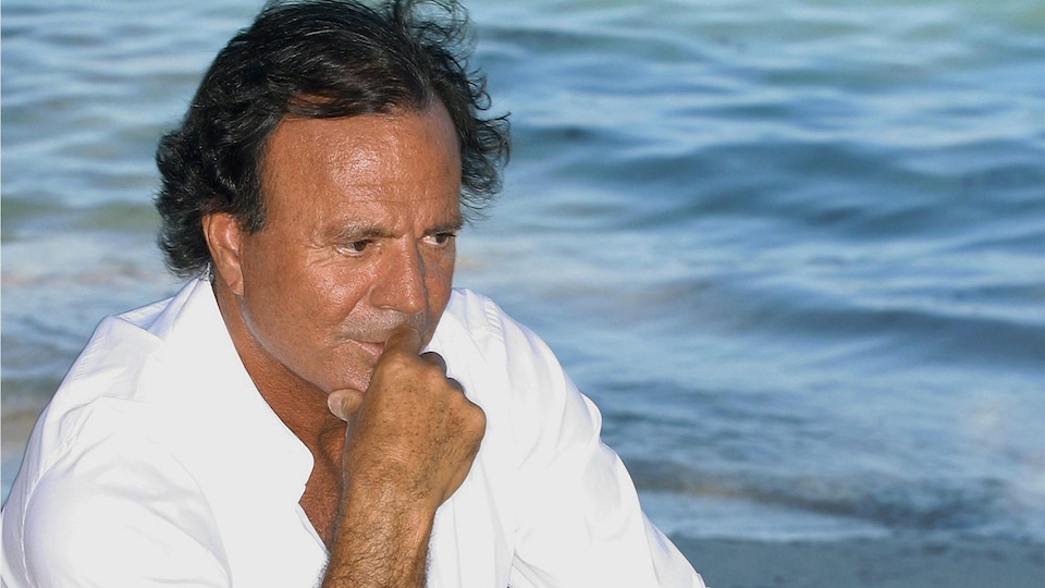Los mensajes de la denunciante de Julio Iglesias dos años después de la ...