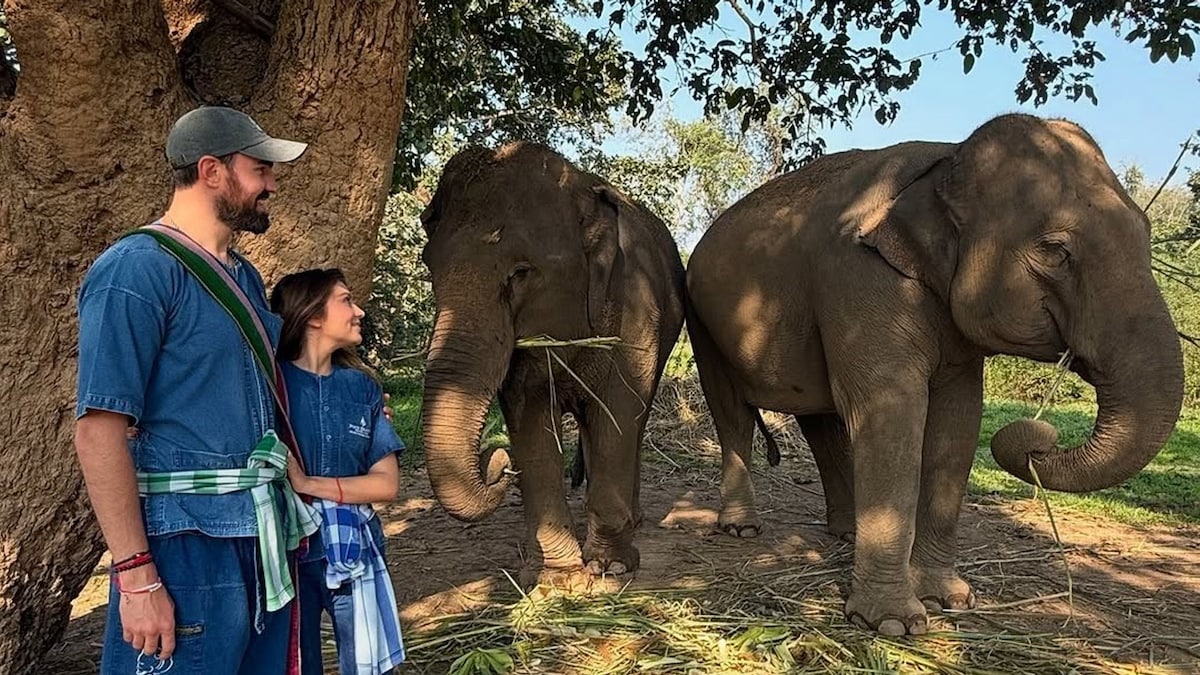 Sofía Castro y Pablo Bernot presumen su amor en Bangkok, su nueva parada en la luna de miel | ¡HOLA!