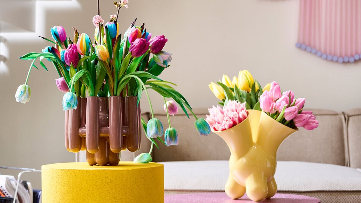 Descubre el significado de las flores y qué simbolizan sus colores