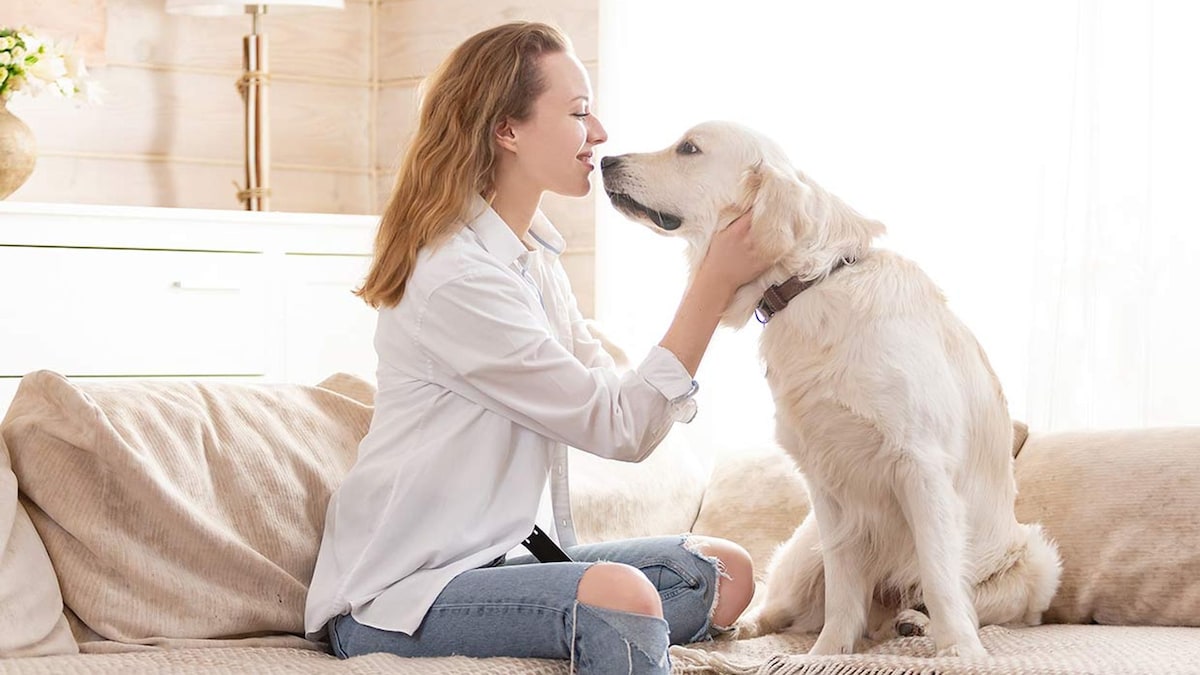 Tener perro en casa: las dudas más frecuentes