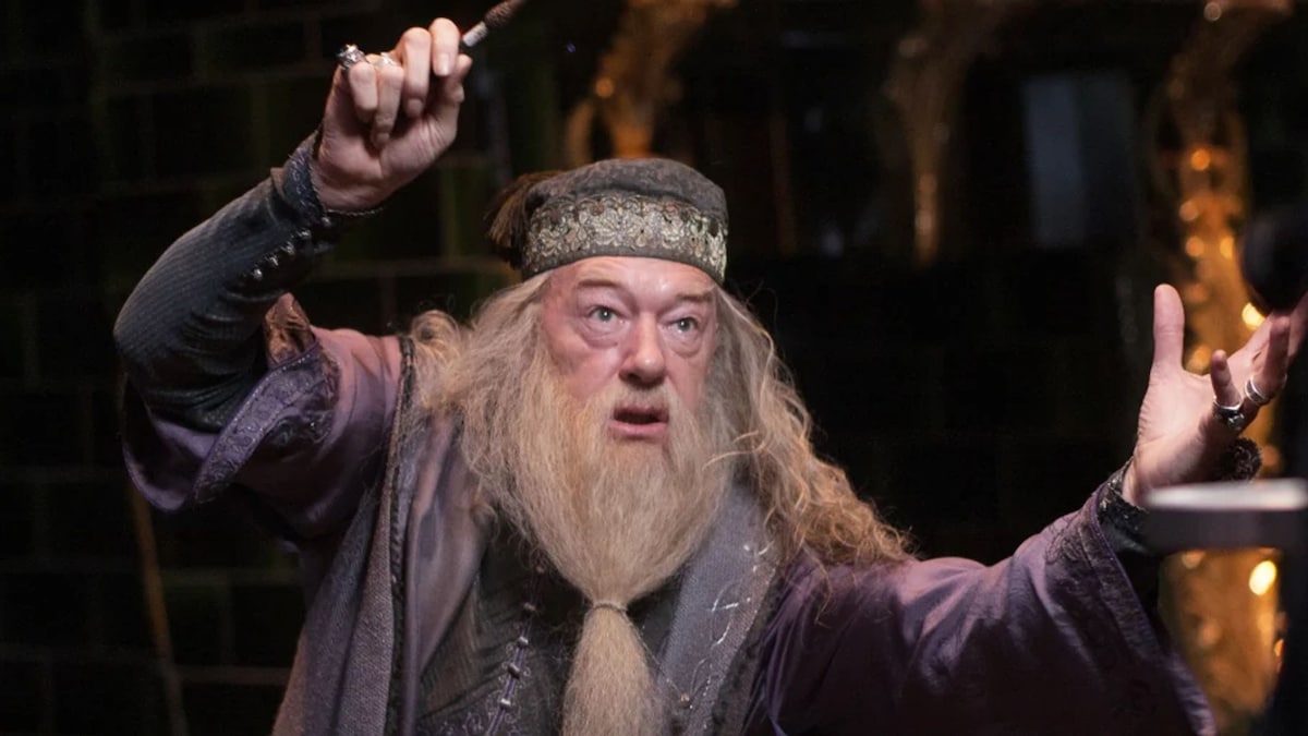 Primer actor confirmado para la serie de 'Harry Potter' de HBO