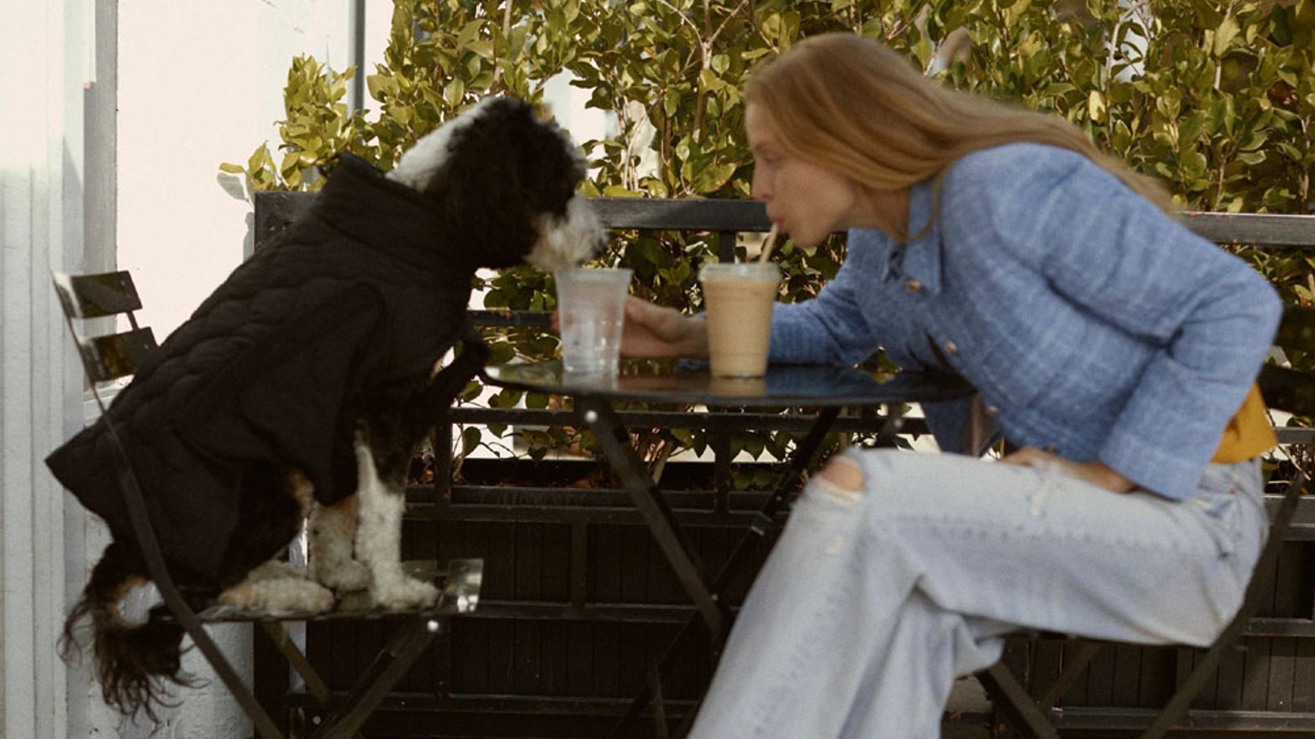 Zara lanza una colección para perros