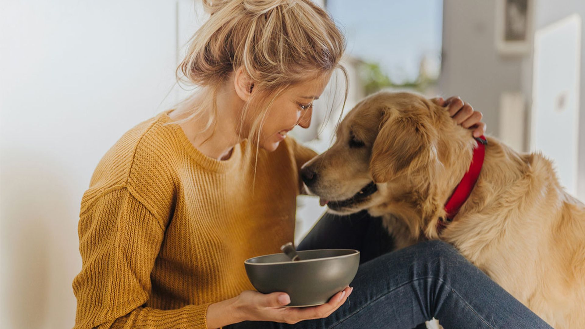 Los 6 mejores probióticos para perros
