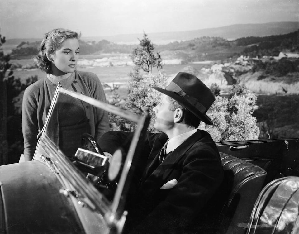 Una rebeca: la prenda estrella que gustaba a Diana de Gales y que te ...