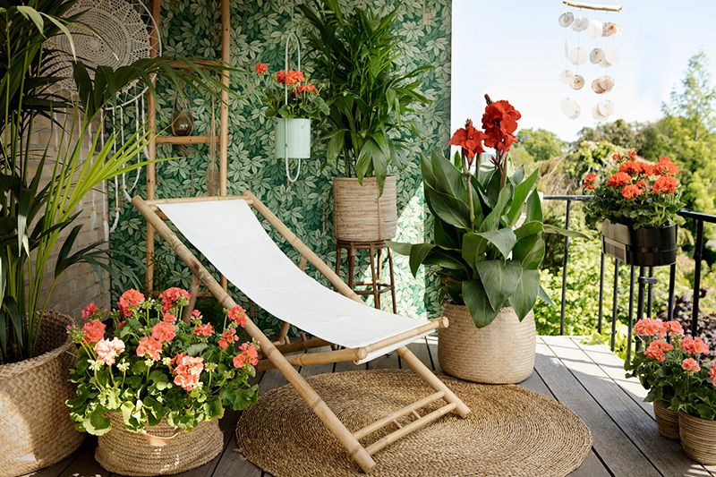 Las 10 plantas más ideales para presumir de balcón esta primavera