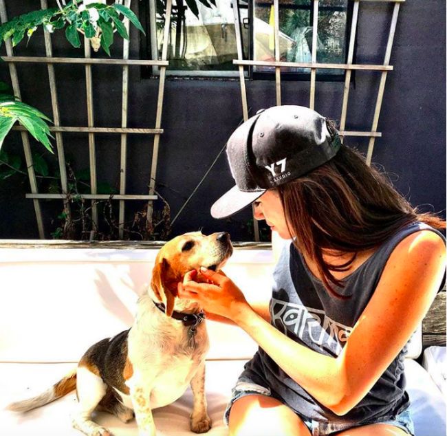¡Otro golpe de suerte para Guy 'de Sussex'! El perro de Meghan ...