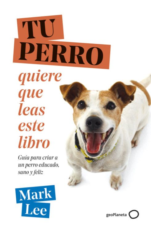 Consejos para cuidar, educar y entender mejor a tu perro