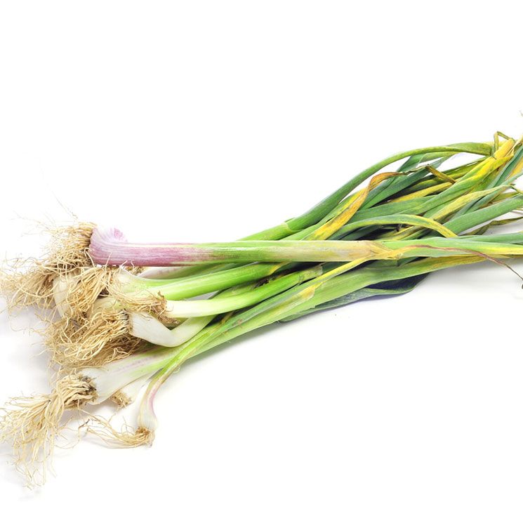 Recetas fáciles con ajetes, producto de temporada
