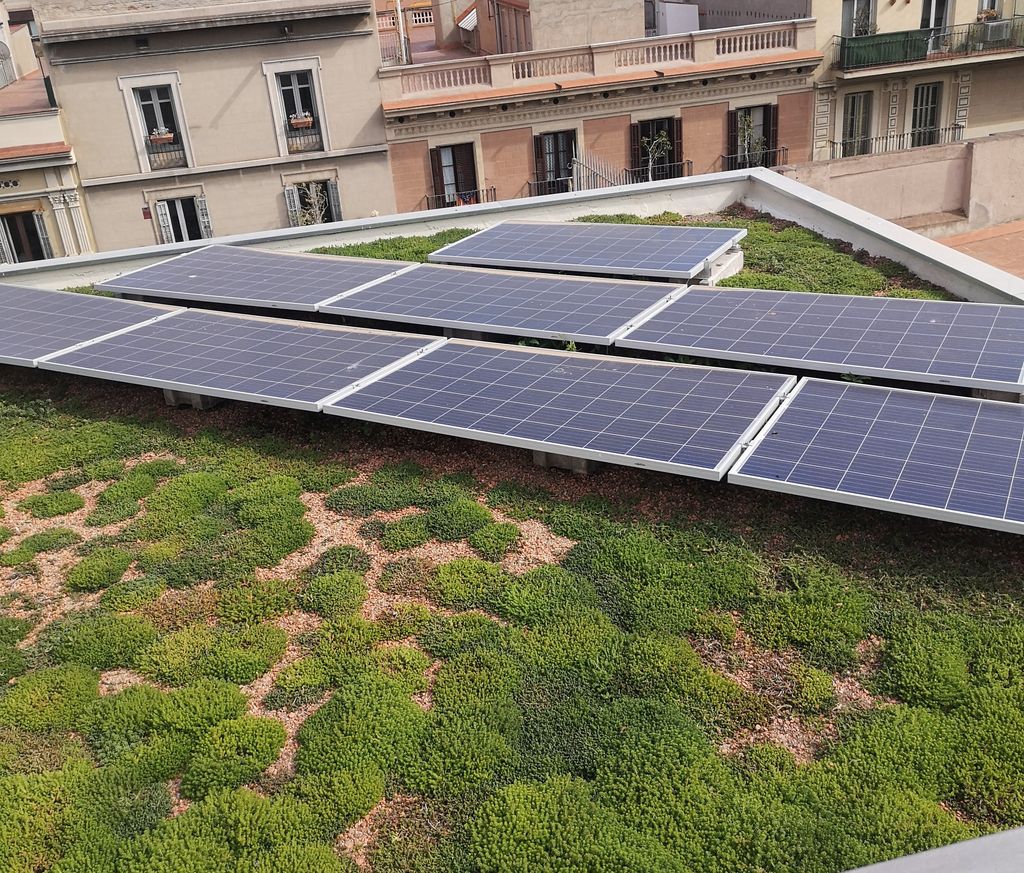Cubiertas biosolares: la evolución del techo verde con energía renovable