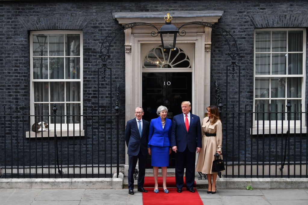 El gato Larry celebra 15 años en Downing Street: 15 imágenes que ...
