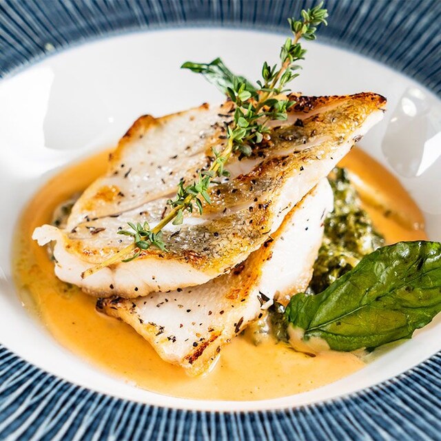 Fogonero noruego, descubre este pescado de la familia del bacalao que ...