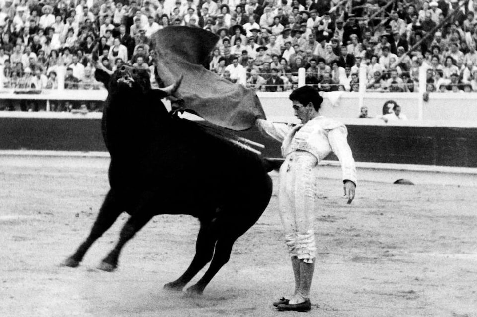 Fallece el torero Paco Camino, padre de Rafa y Marián Camino, a los 83 años