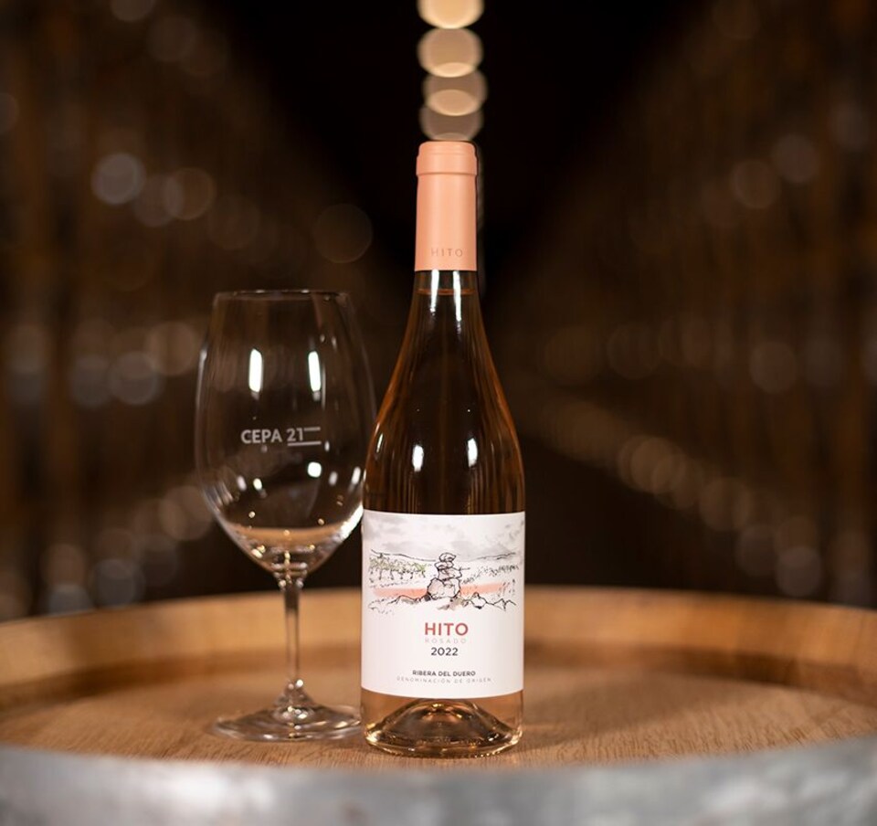 Los mejores vinos rosados para brindar por el verano