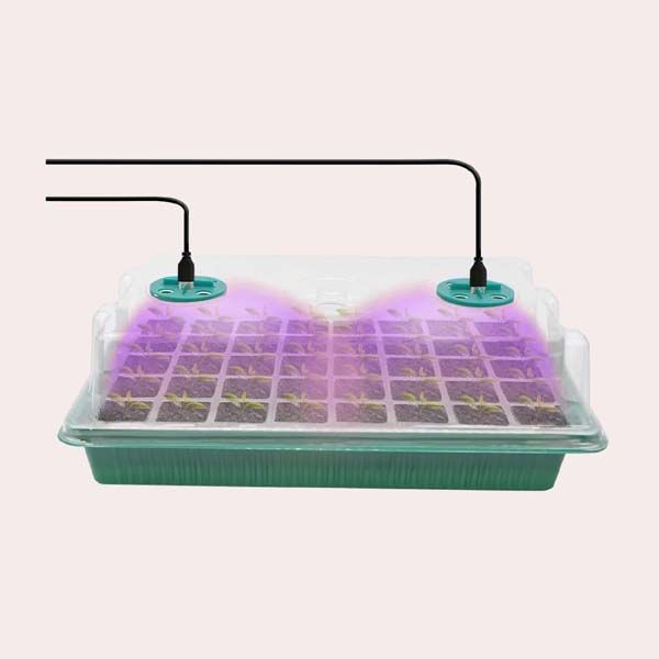 Estos son los mejores germinadores de semillas para cultivar tus ...