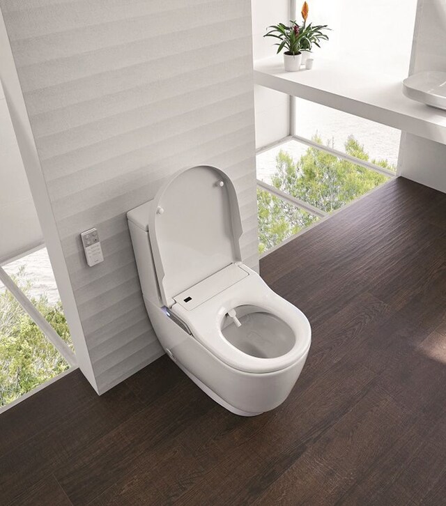 ¿Sabes qué son los ‘shower toilets’? Te lo contamos todo sobre estos ...