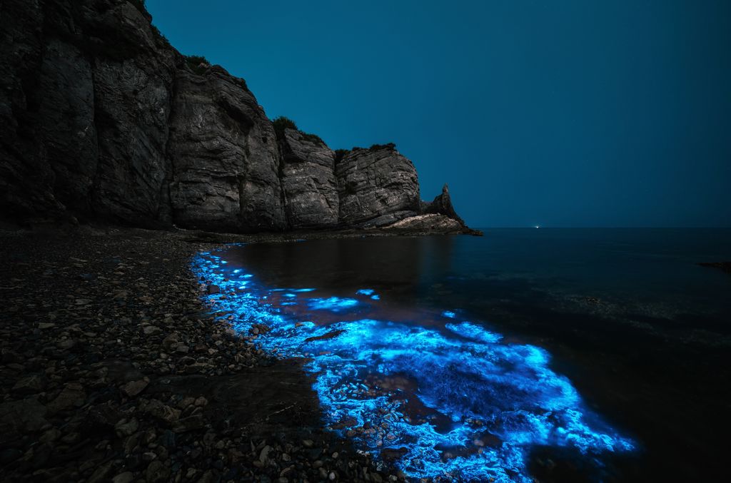 Playas españolas donde ver el increíble fenómeno de la bioluminiscencia ...
