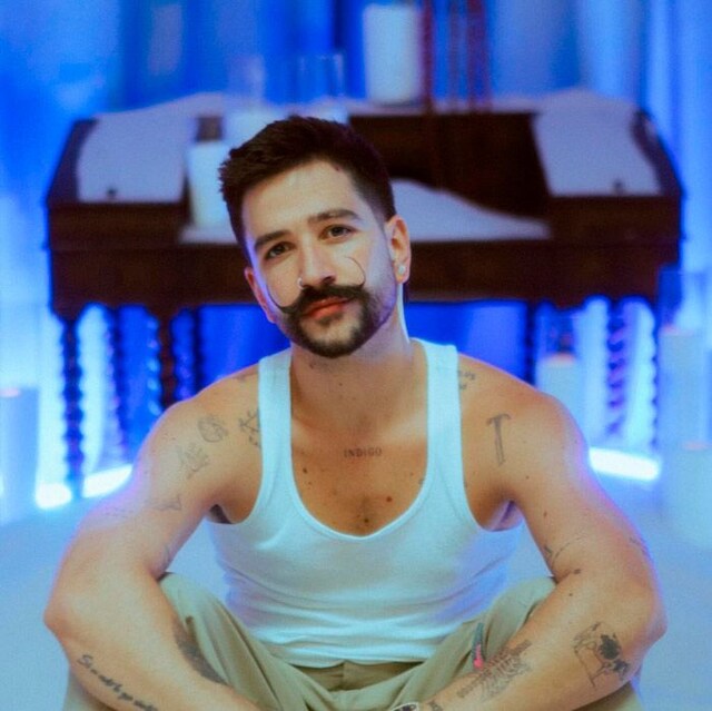 El mejor momento de Camilo: de su gira por España a la inminente ...