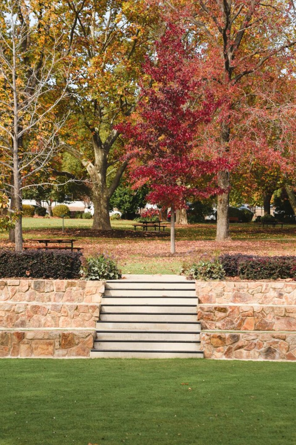 Un otoño de ensueño: el jardín se transforma con los consejos del paisajista Jan Jacob van Eijle