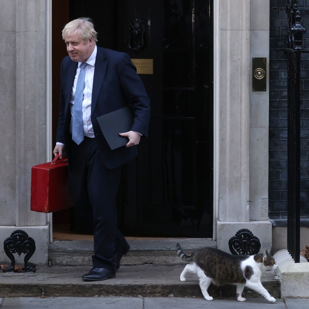 El gato Larry celebra 15 años en Downing Street: 15 imágenes que ...