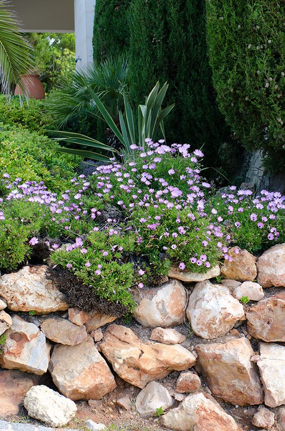 Cómo crear un jardín de rocalla: combinar rocas y plantas