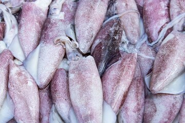 ¿Conoces las diferencias entre calamar, pota y sepia?