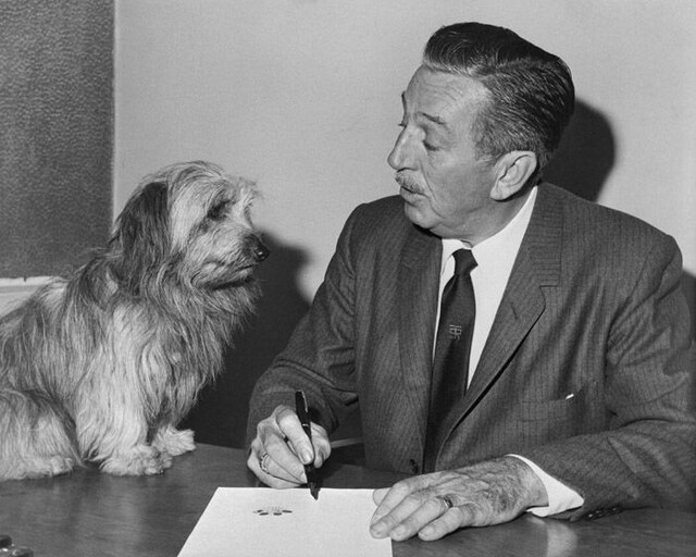 La historia de Pluto, el perro de Walt Disney que existió en realidad