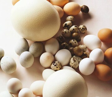 ¿Conoces todos los tipos de huevo que podemos comer?