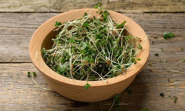 ¿Sabes qué son los germinados y cómo se utilizan en la cocina?