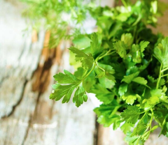 Todo sobre el perejil: beneficios, recetas y usos en la cocina